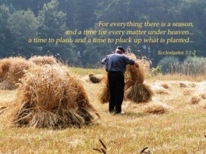 It’s Finally Fall Y’all