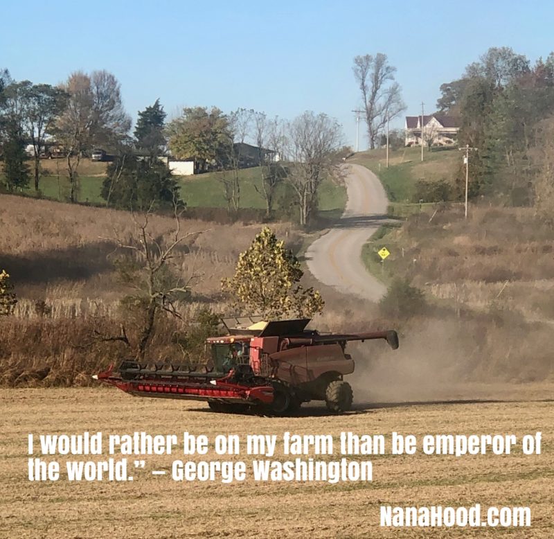 Suddenly Summer Is Over and Fall Is Here