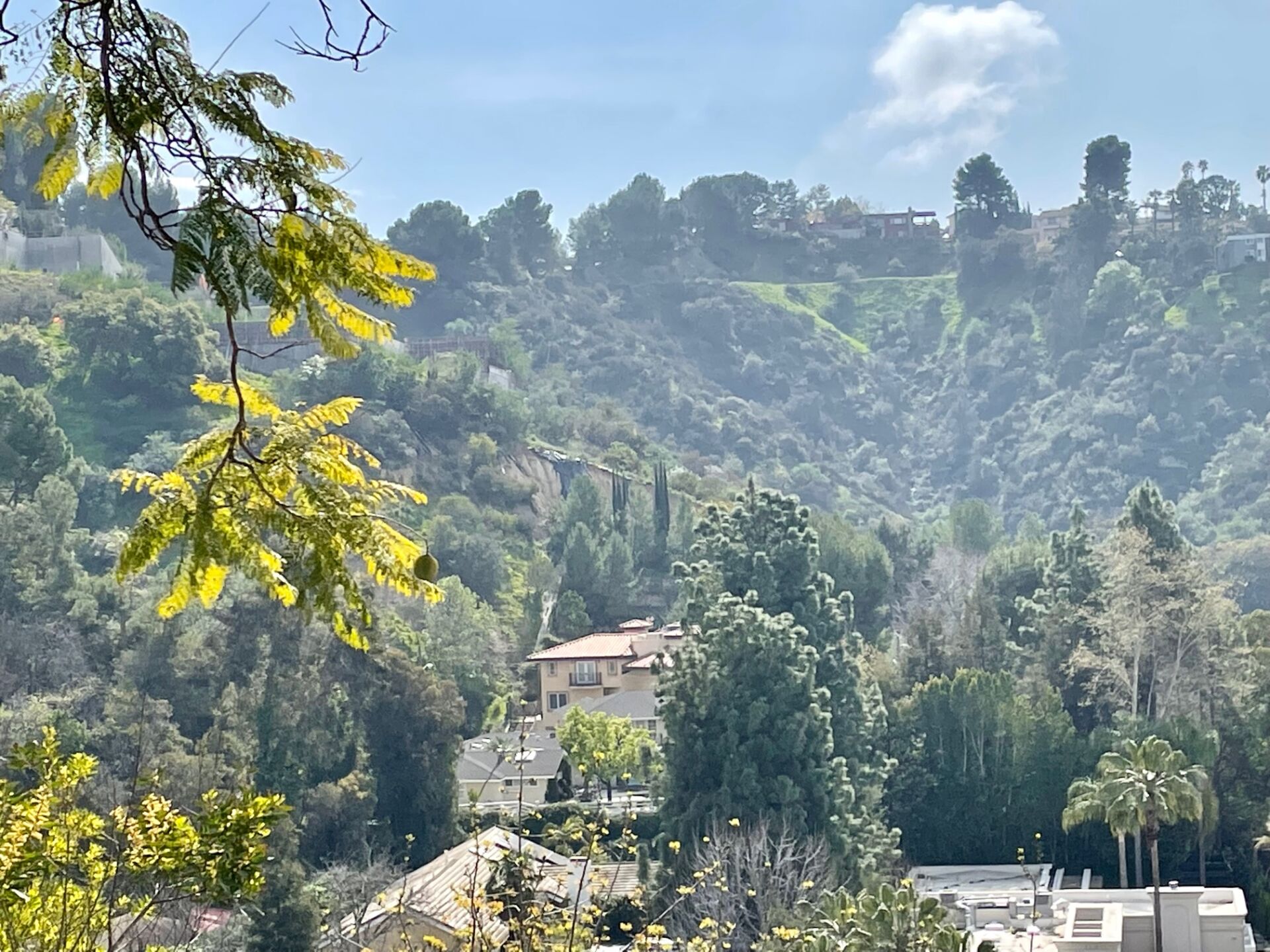 Small Town Girl in an Uptown World